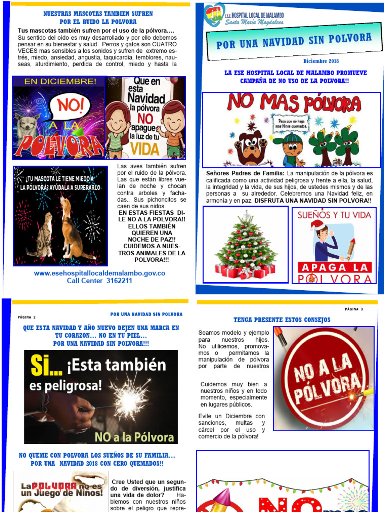 Boletin Polvora | PDF