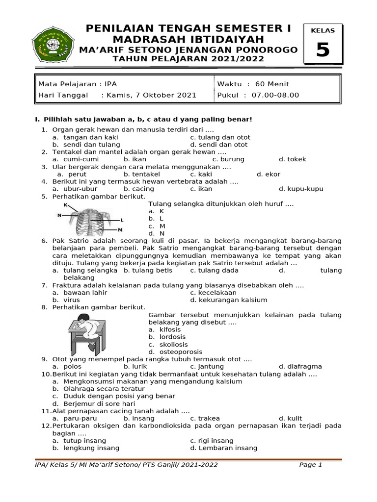 PTS IPA 5 SMT 1 2021 | PDF
