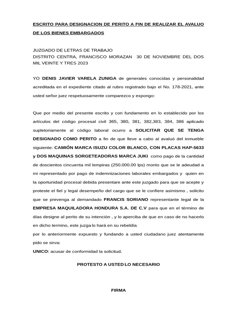 Escrito para Designacion de Perito | PDF
