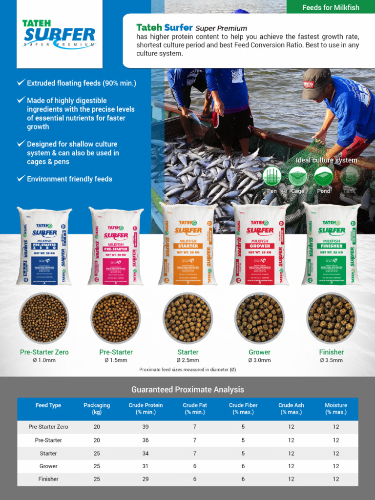Tateh Milkfish Surfer Super Premium | PDF