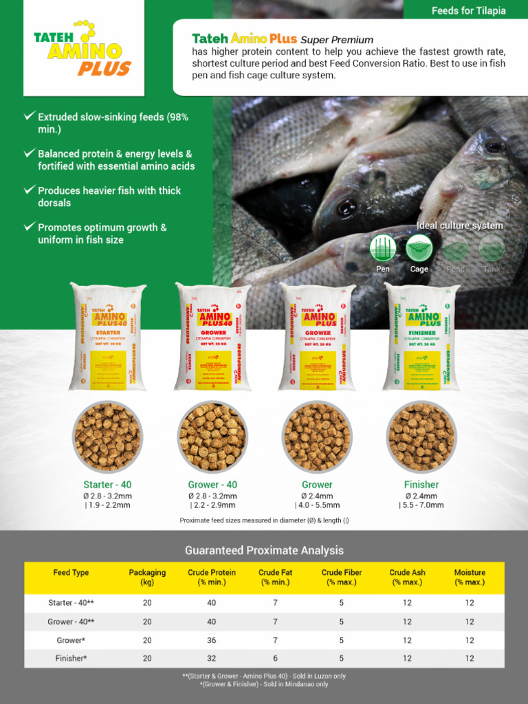 Tateh Tilapia Amino Plus | PDF