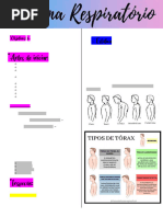 Exame Físico do Tórax e Pectoriloquia | PDF | Pulmão | Respiração