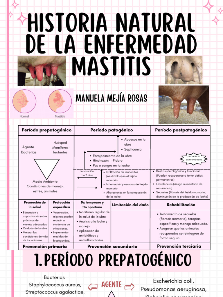 MASTITIS | PDF | Inflamación | Leche
