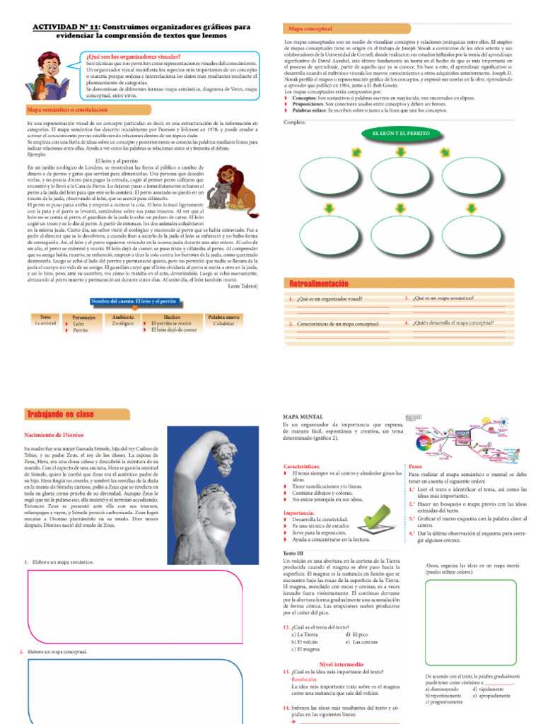 Organizadores Gráficos para Comprensión Lectora | PDF
