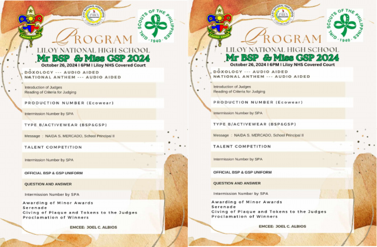 MR - BSP&MS - GSP Program | PDF