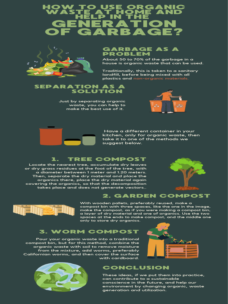 Dark Green Brown Illustrative Geography Biomes Infographic | PDF ...