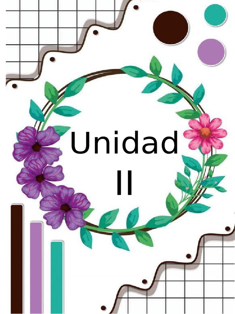 Unidad II | PDF