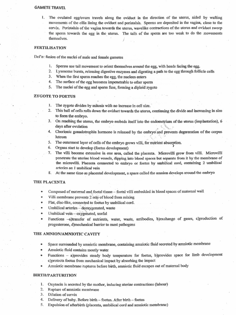 CSEC Human Reproduction Fertilisation To Birth | PDF