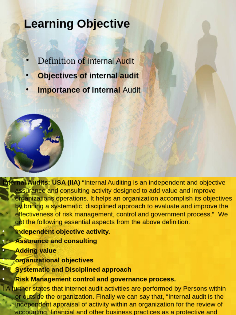 Internal Audit | PDF | Internal Audit | Audit