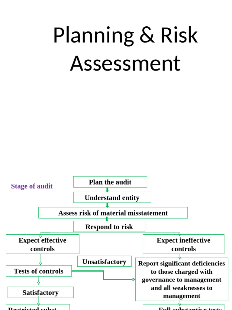 Audit-Planning | PDF | Audit | Internal Control