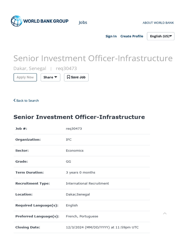 Senior Investment Officer - Infrastructure Job | PDF | International ...