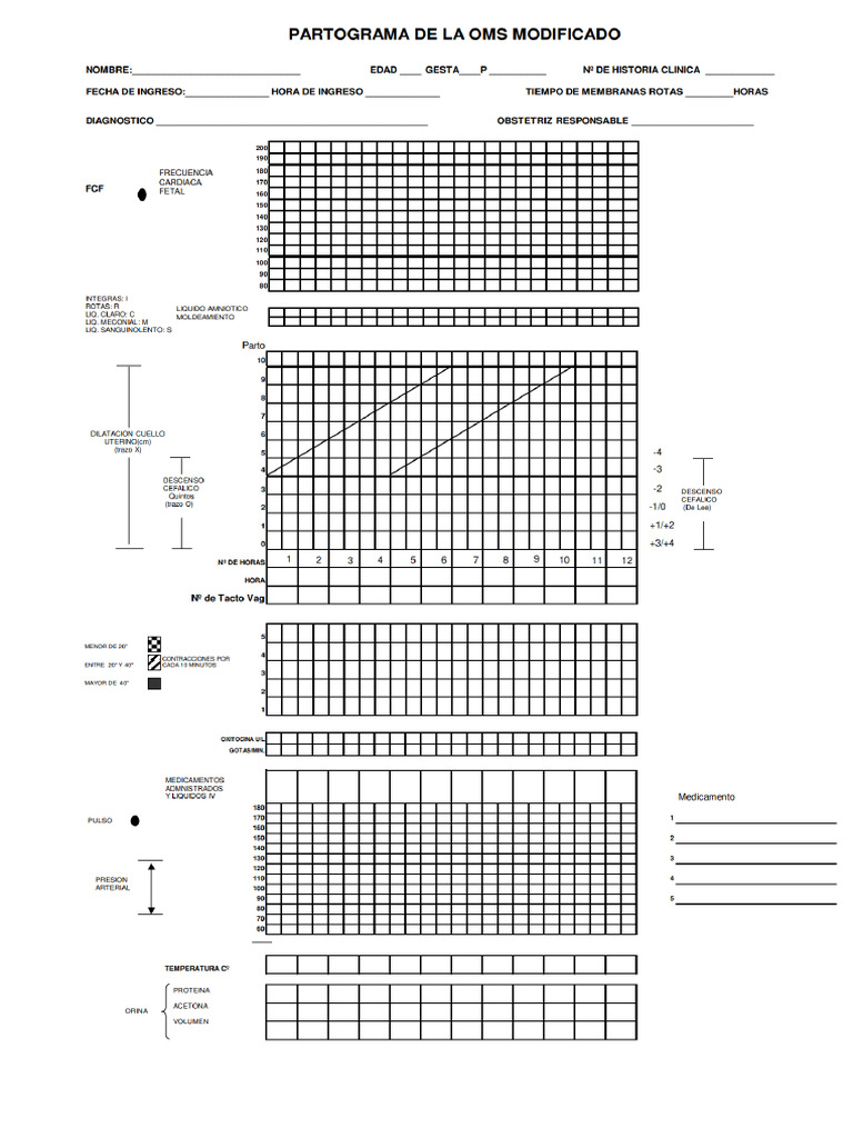Partograma Oms | PDF