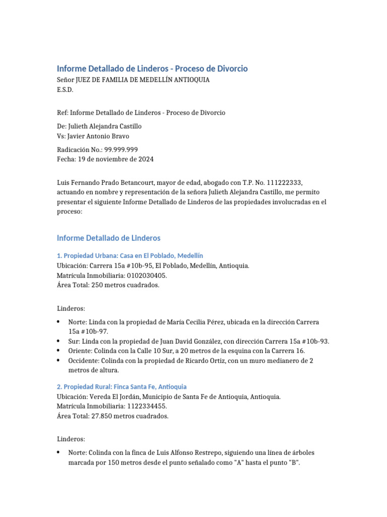 Informe Detallado Linderos Propiedades | PDF | Derecho