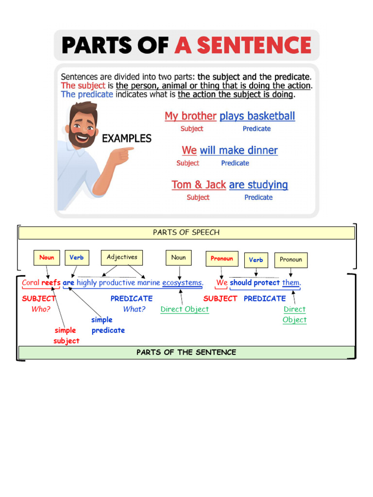 Parts of A Sentence | PDF | Verb | Subject (Grammar)