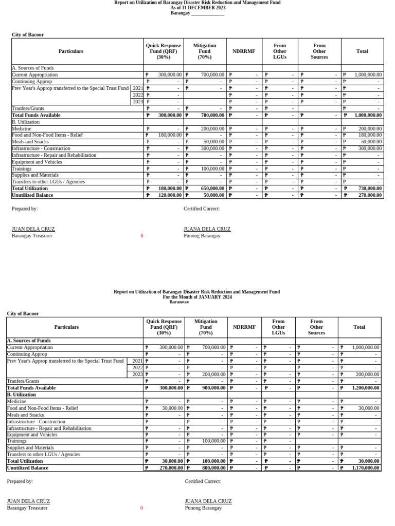 LDRRMF Utilization Report Draft | PDF