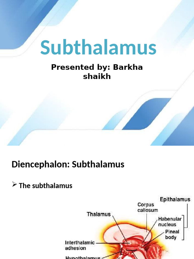 Overview of the Subthalamus Anatomy | PDF | Science & Mathematics