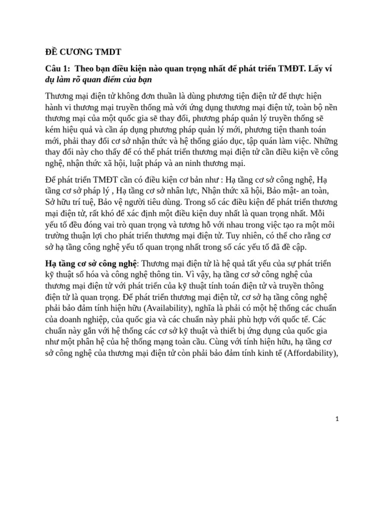 Đề Cương TMDT | PDF