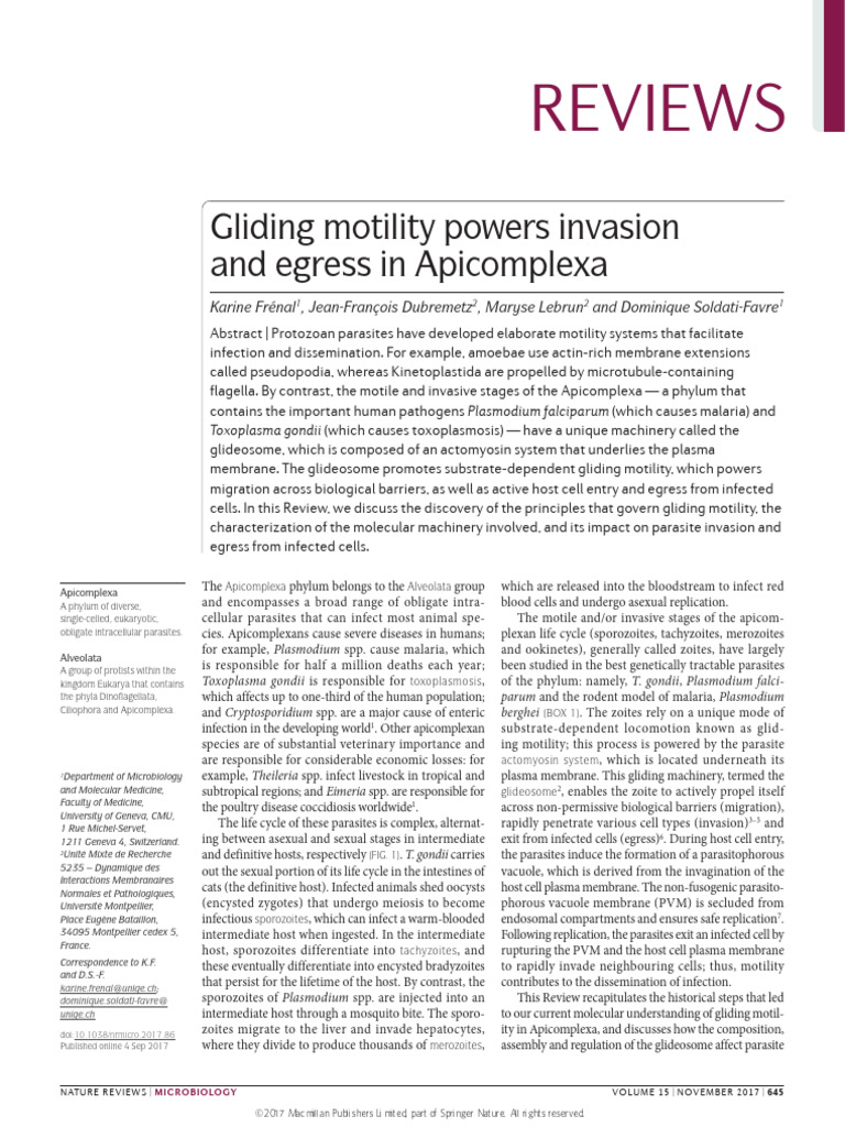 La Motilidad de Deslizamiento Impulsa La Invasión y Salida de ...
