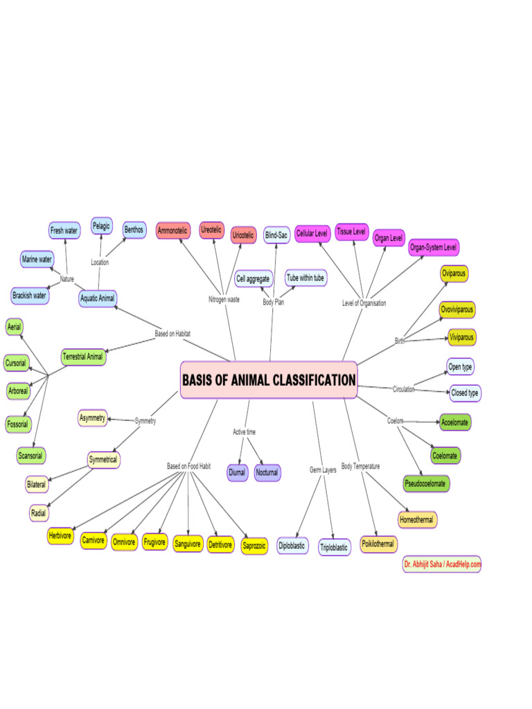 Mind Map CBSE Class 11 Chapter 4 Animal Kingdom Basis of Animal Classification | PDF | Zoology
