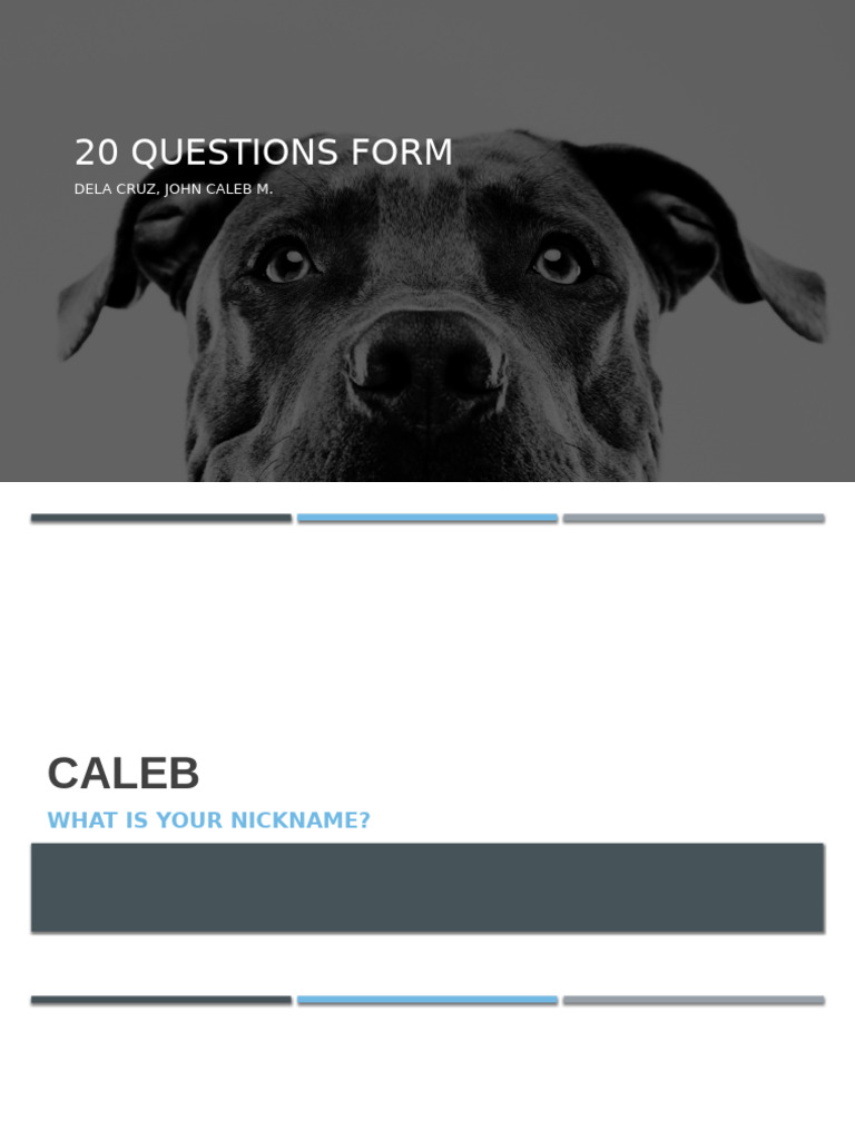 20 Questions Form | PDF