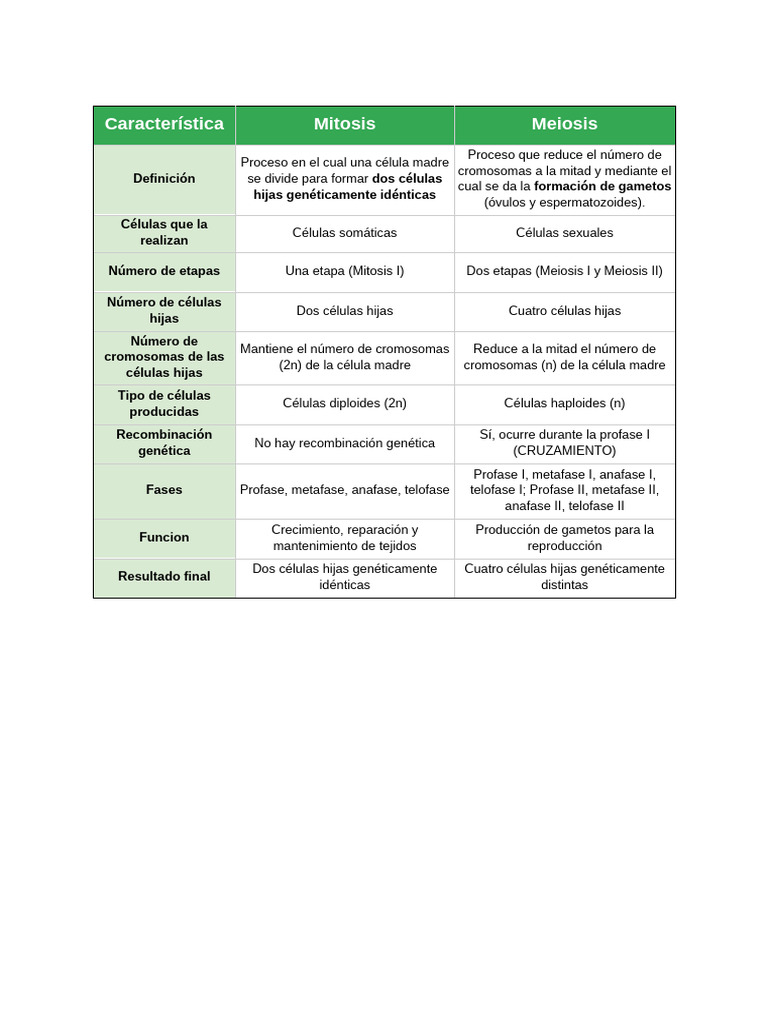 Cuadro Comparativo Entre Meiosis y Mitosis | PDF