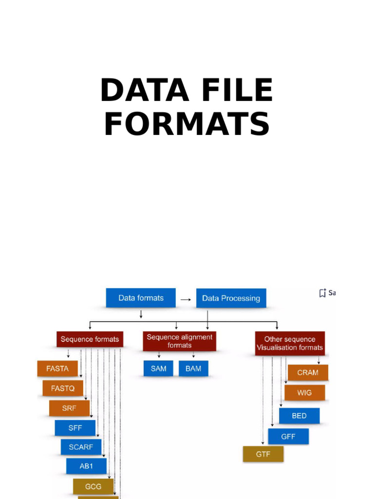 Data Formats | PDF
