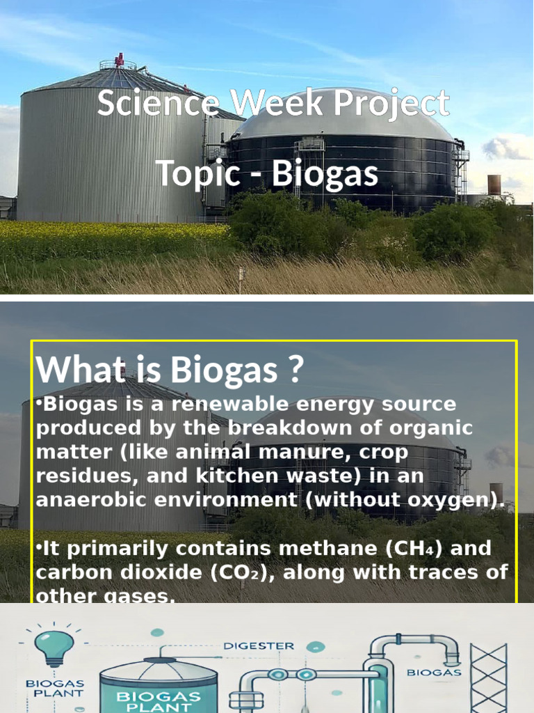 Biogas | PDF