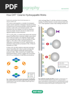 Ceramic Hydroxyapatite Chromatography Guide | PDF | Computers ...