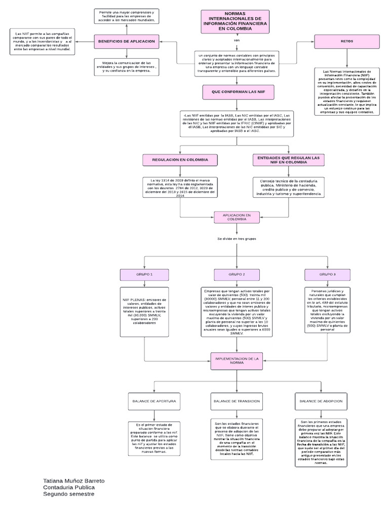 Mapa Conceptual Las Niif | PDF | normas internacionales de INFORMACION ...