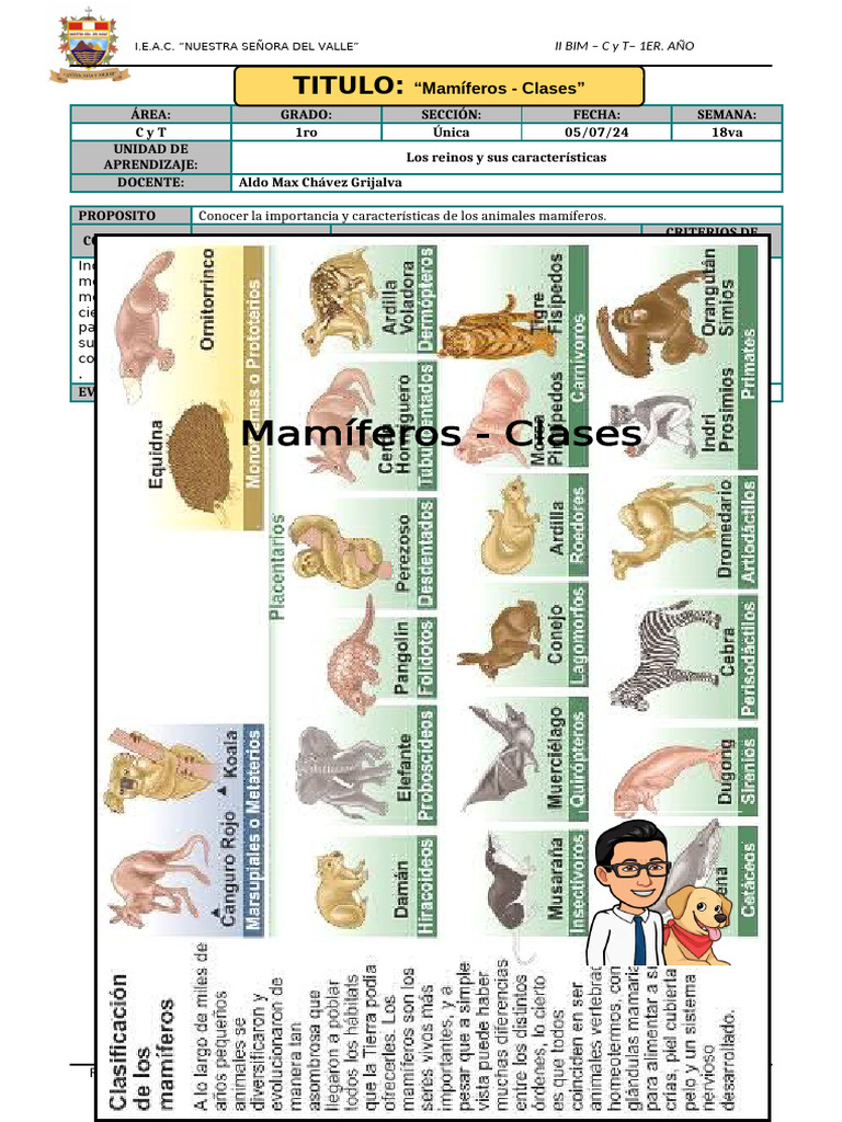 Características de los Mamíferos | PDF | Mamíferos | Marsupiales