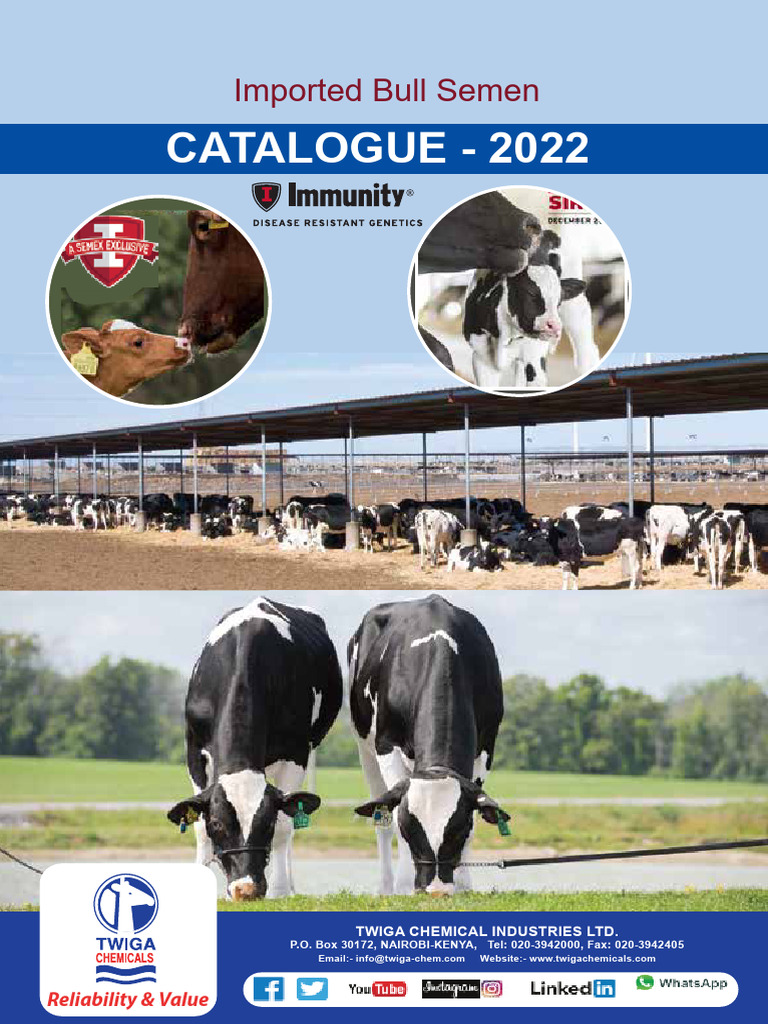 Semex Catalogue 2022 June | PDF | Dairy | Milk