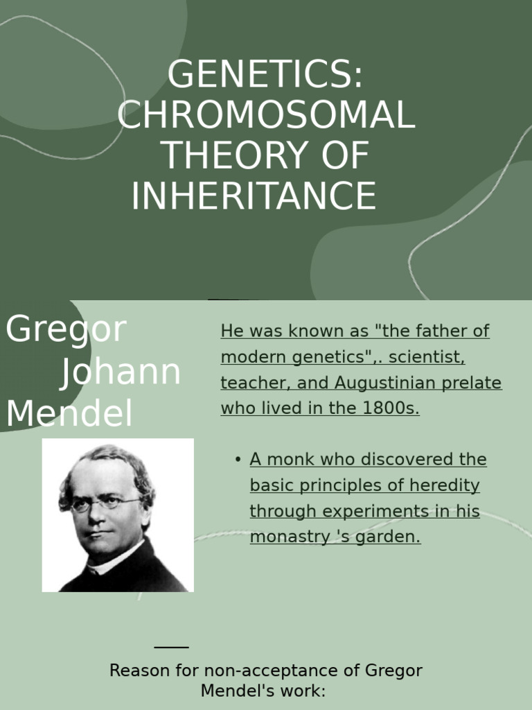 Genetics Chromosomal Theory of Inheritance | PDF | Philosophy