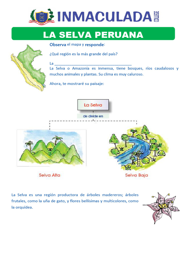 Selva Peruana: Flora y Fauna Asombrosas | PDF | Estudios de idiomas ...