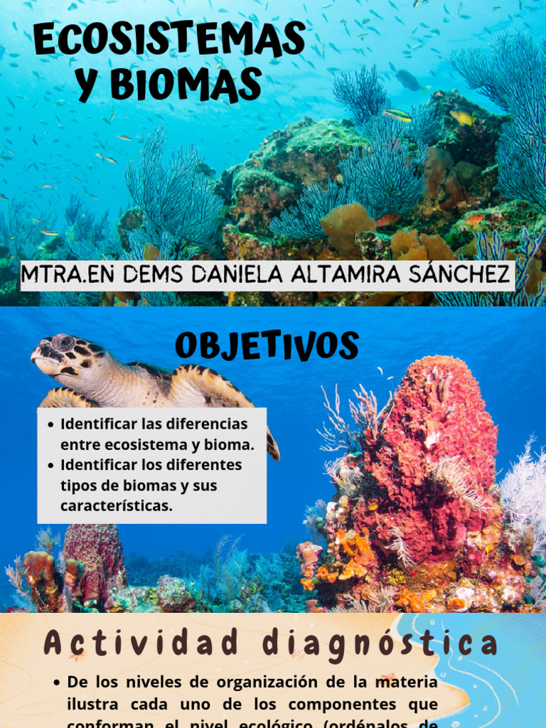 Diferencias entre Ecosistemas y Biomas | PDF | Ciencia y matemáticas