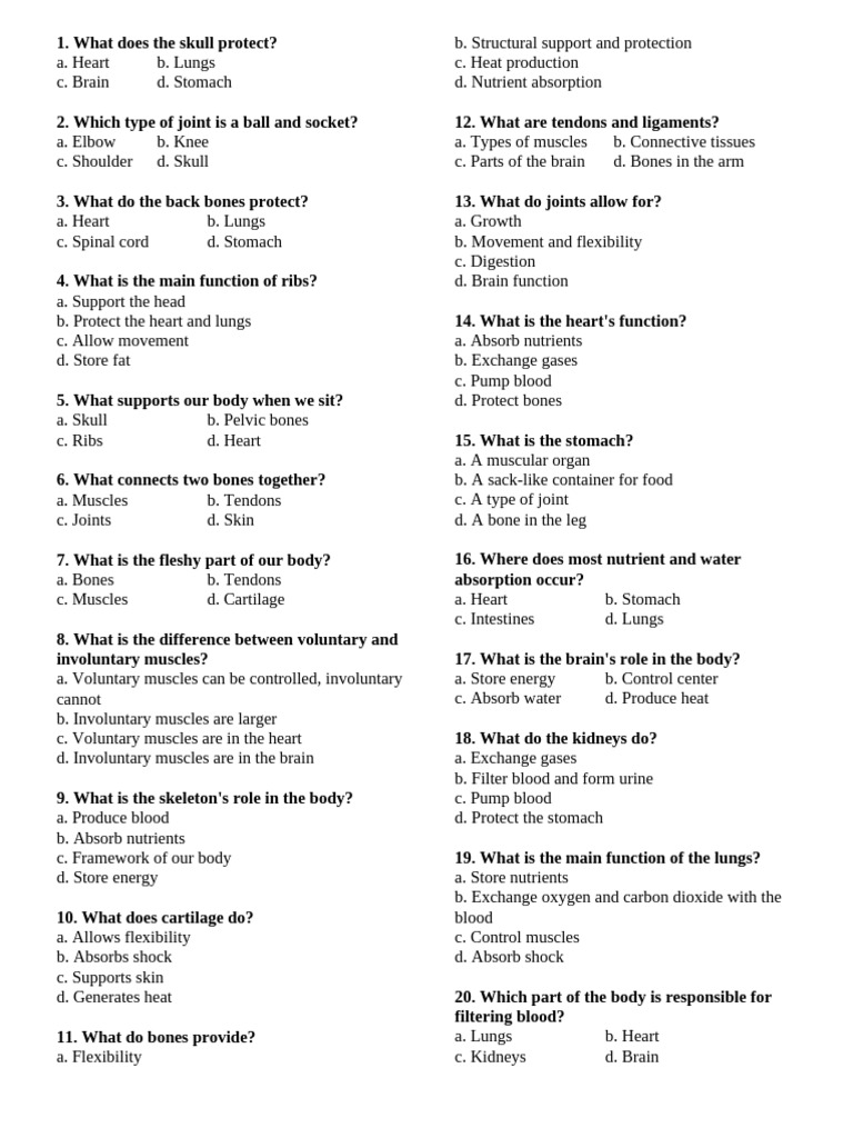 Grade 4 Science Quiz | PDF | Muscle | Heart