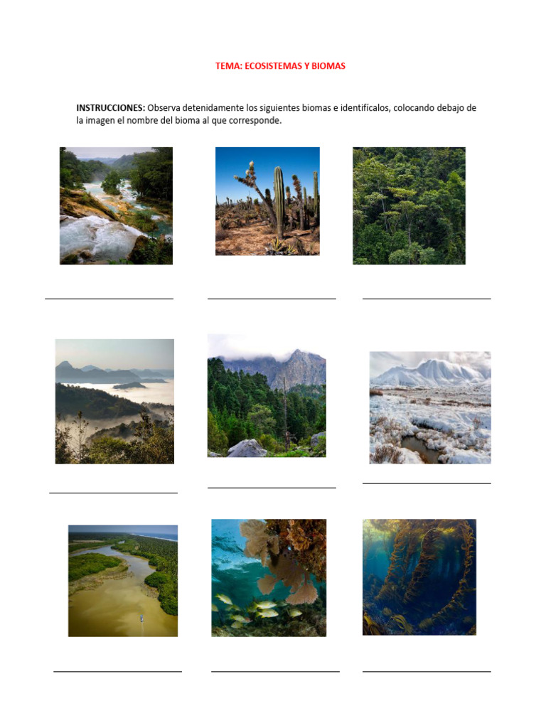 Identificación de Biomas y Ecosistemas | PDF