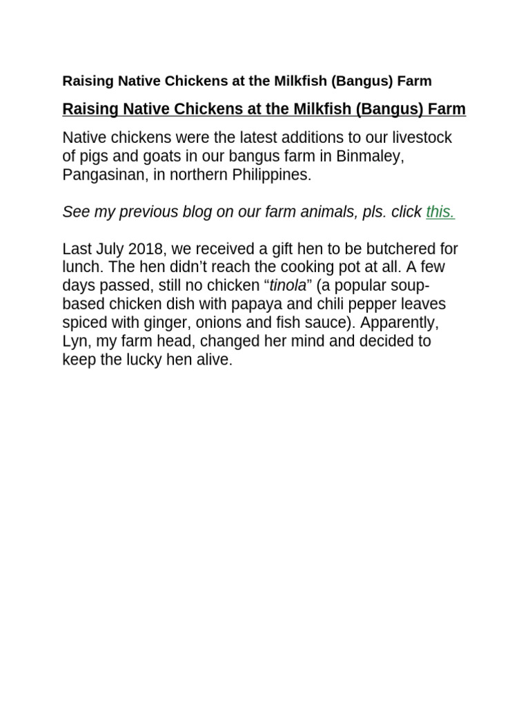 Raising Native Chickens at The Milkfish | PDF | Chicken | Egg