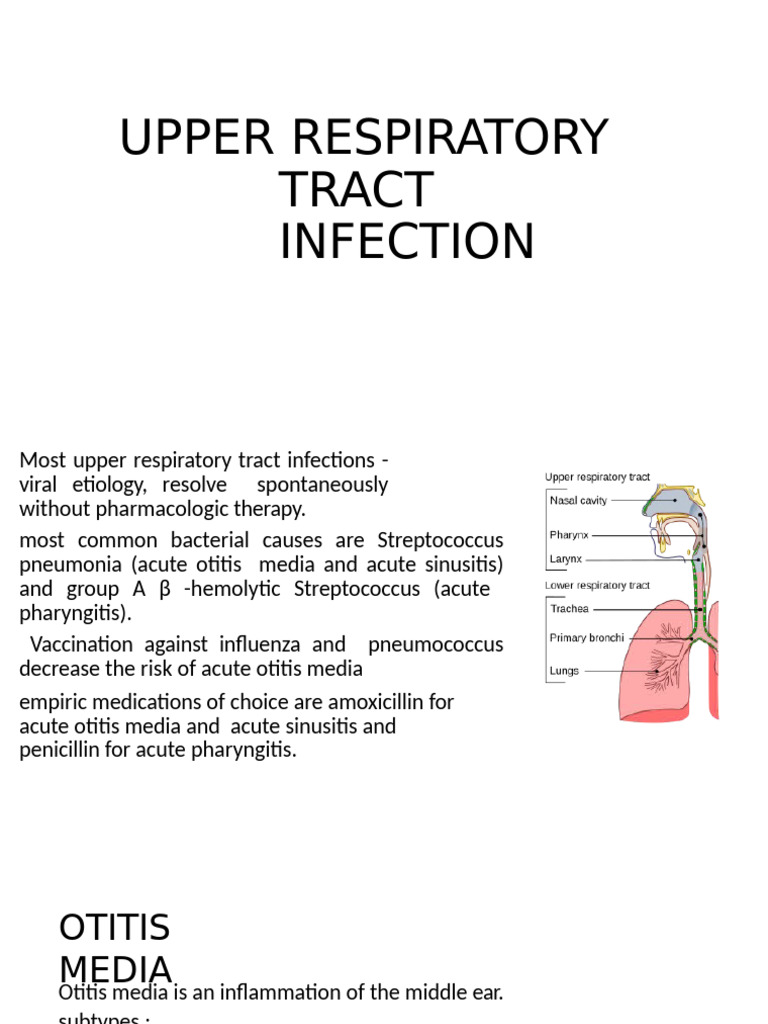 Upper Respiratory Tract Infection | PDF | Tuberculosis | Clinical Medicine