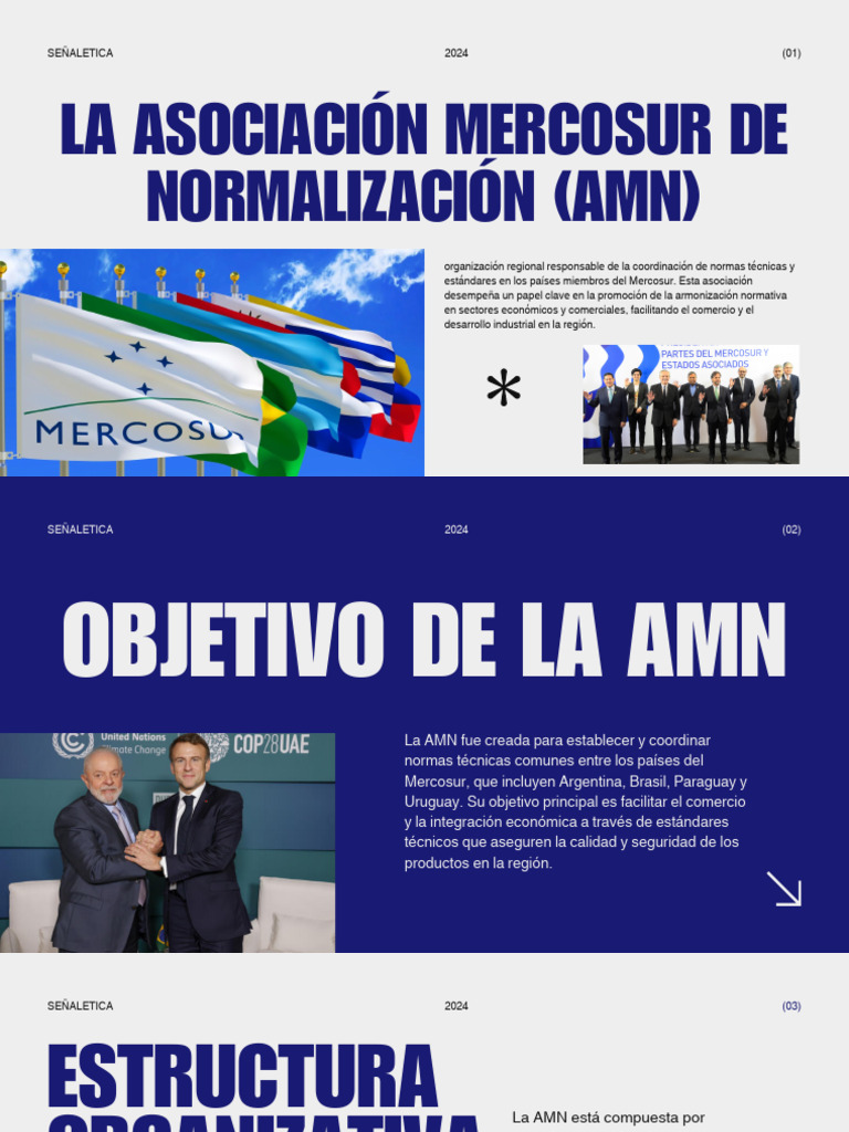 Mercosur | PDF