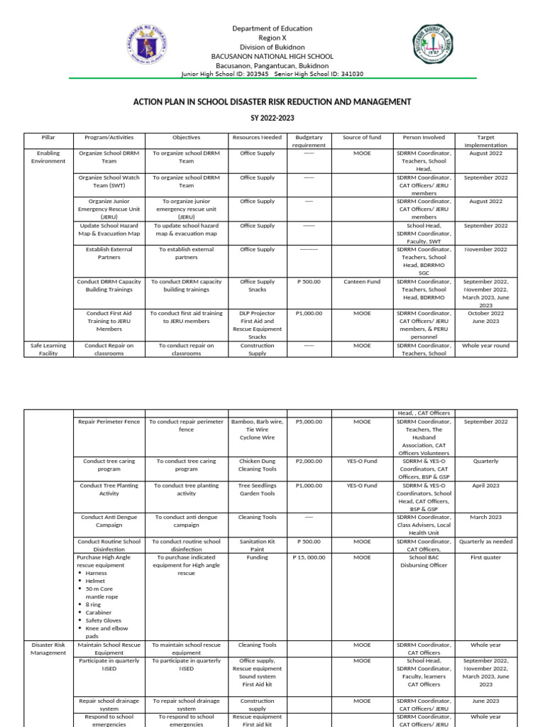 Action plan SDRRM | PDF | Occupational Safety And Health | Risk Management