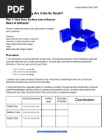 Effect of Surface Area on Diffusion Rate | PDF | Surface Area