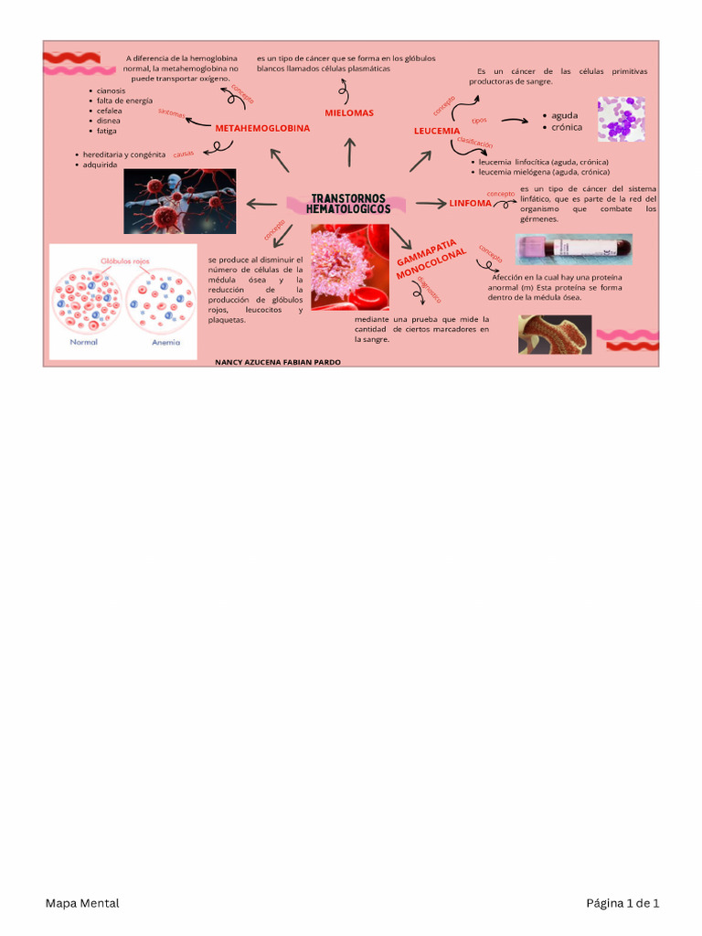 Mapa Mental | PDF