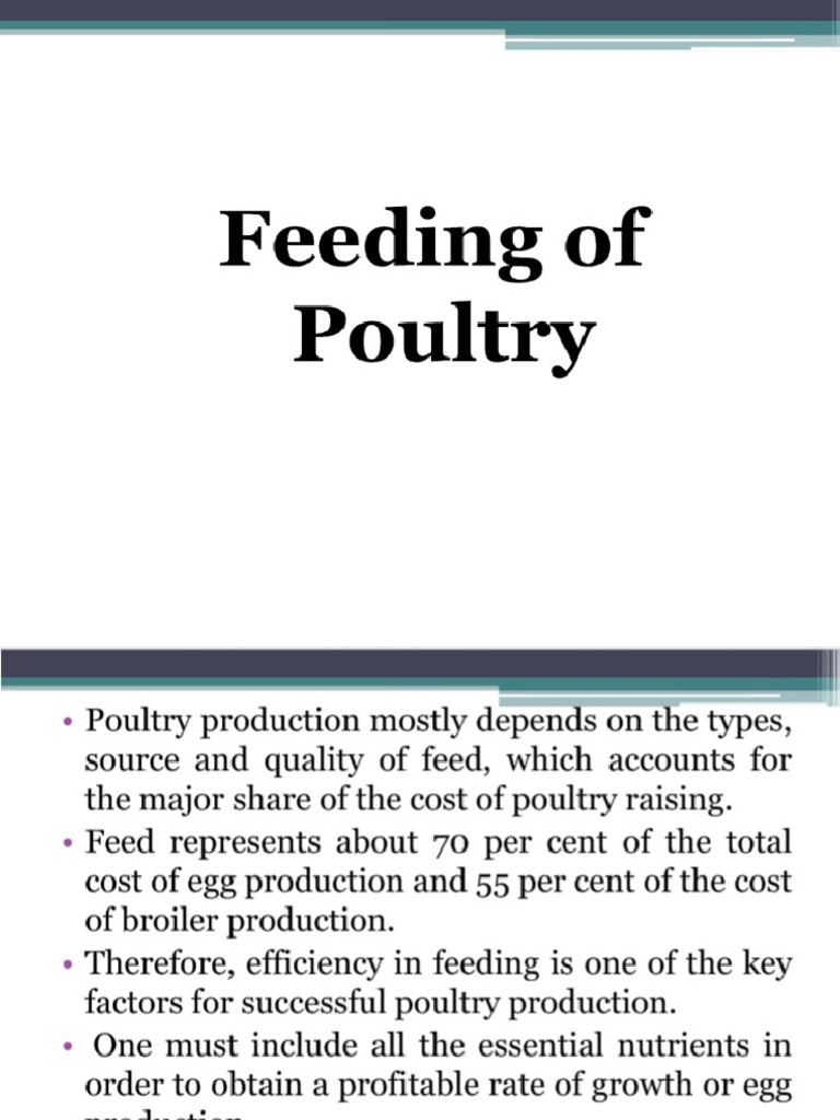 Feeding of Poultry | PDF