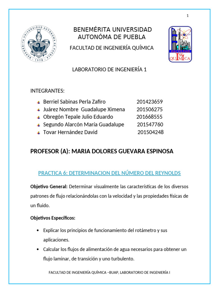 Práctica 6 Lab Ing | PDF | Turbulencia | Viscosidad