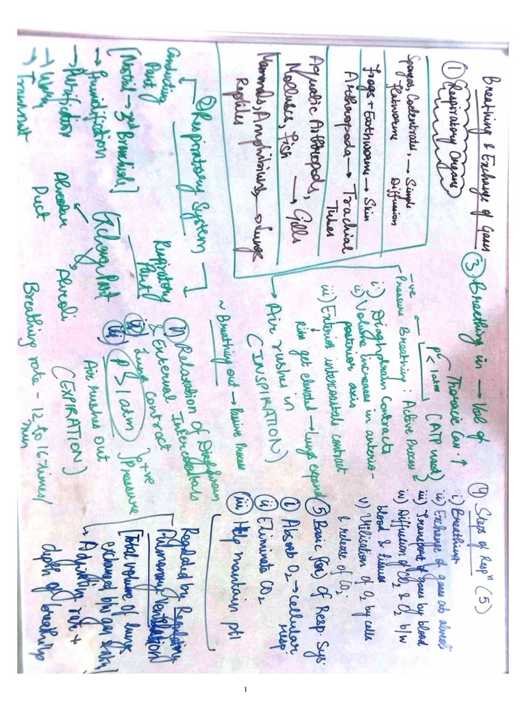 Kaagaz 20241104 234118197974 | PDF