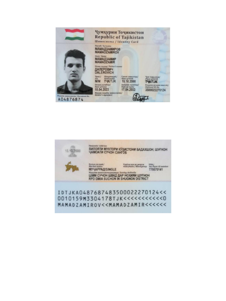 Zamir Passport | PDF