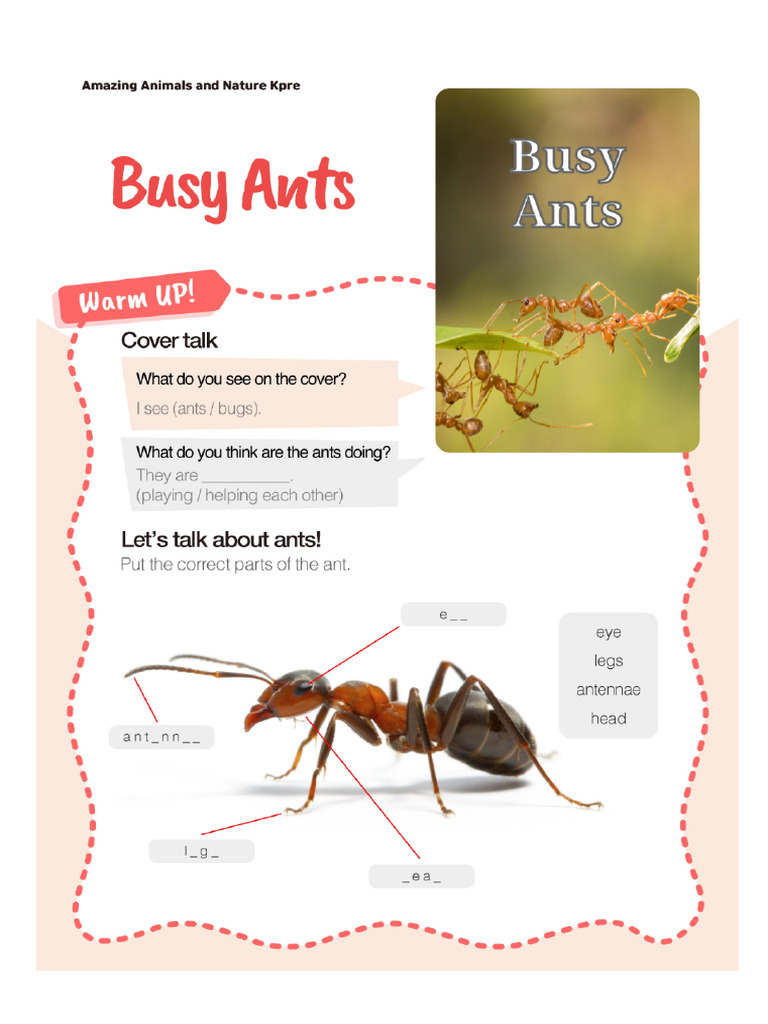Busy Ants | PDF