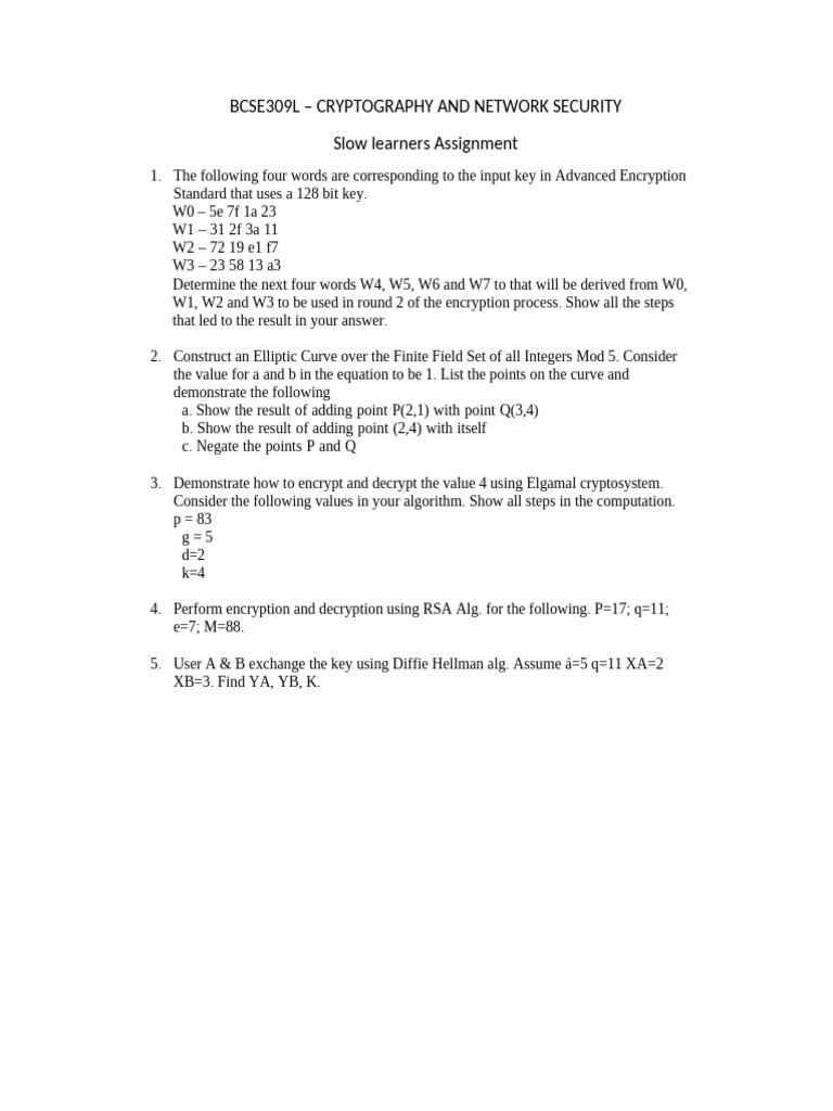 Bcse309L - Cryptography and Network Security Slow Learners Assignment | PDF