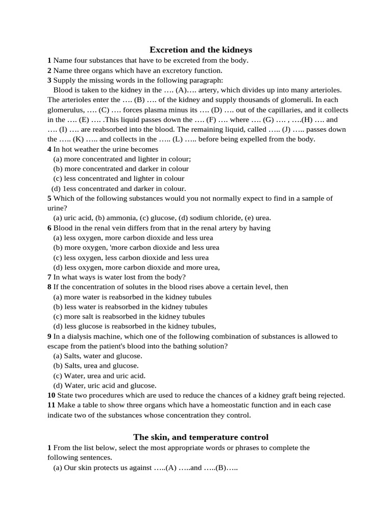 Excretion Homeostasis Respiration | PDF | Cellular Respiration | Kidney