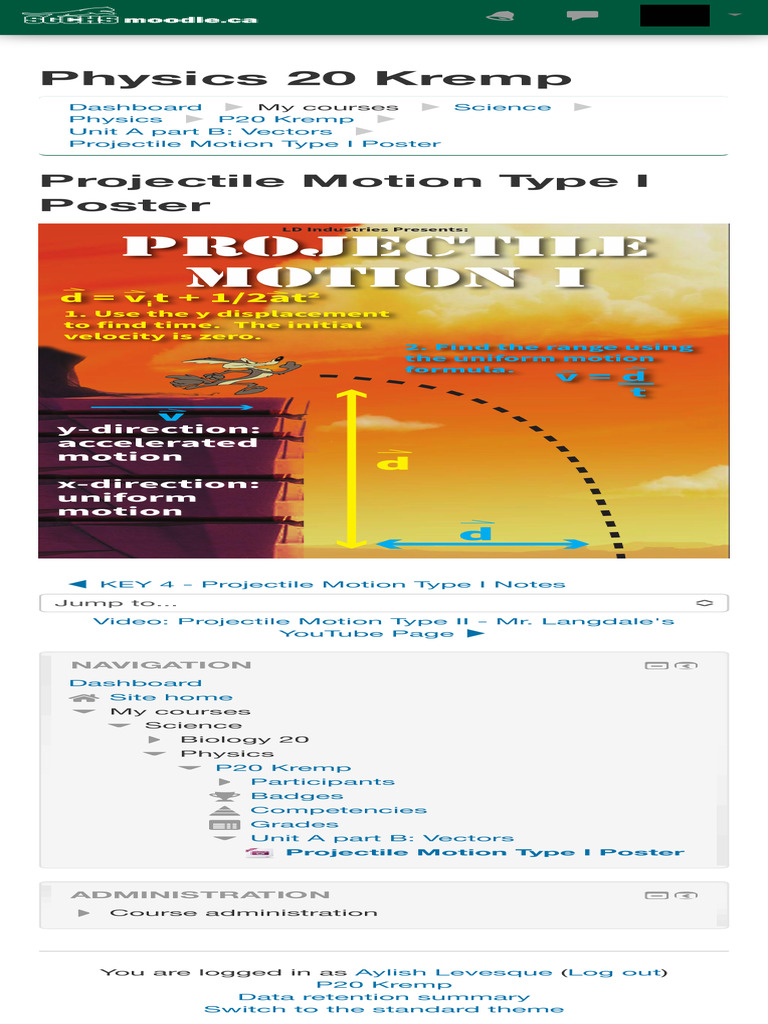 P20 Kremp Projectile Motion Type I Poster | PDF